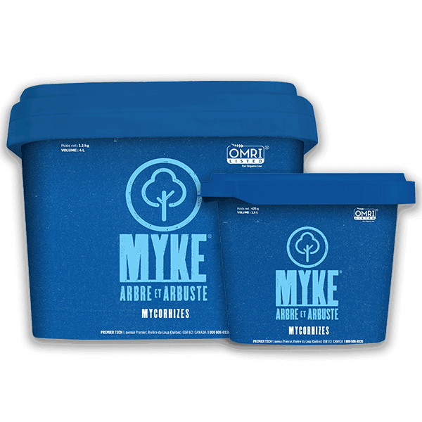 MYKE TREES AND SHRUBS – Pépinière Jasmin