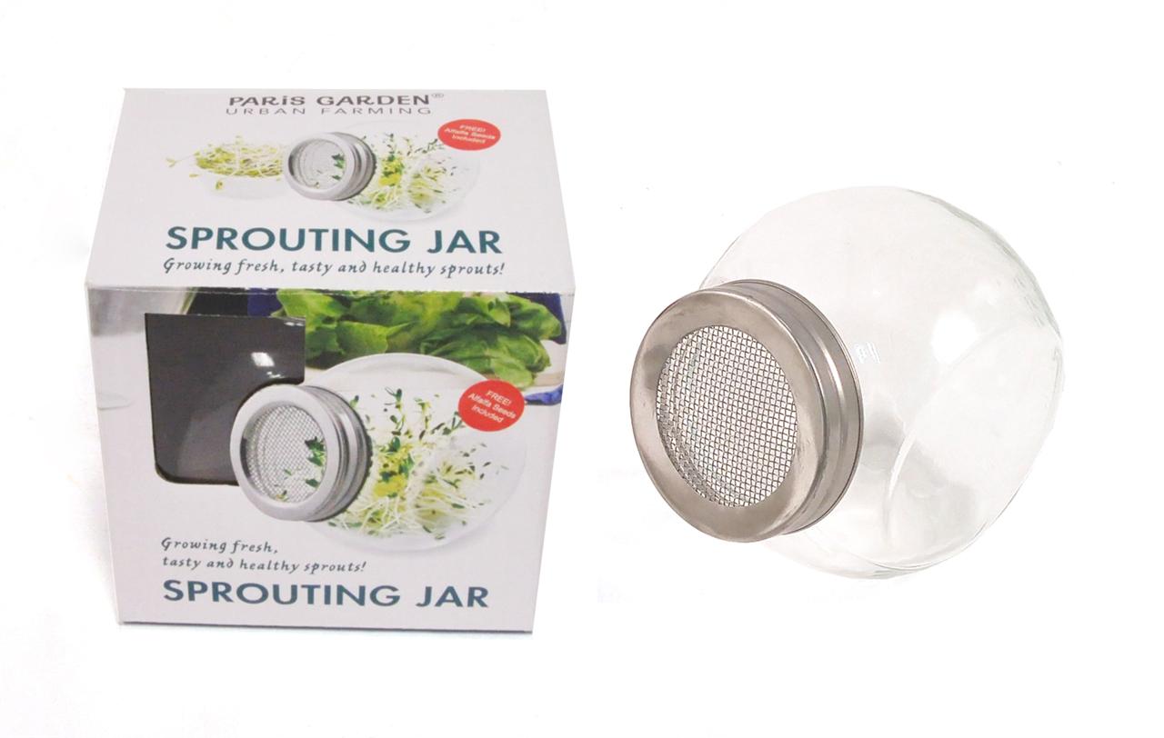 Glass germinator + alfalfa seeds – Pépinière Jasmin