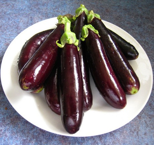 Eggplant little fingers – Pépinière Jasmin