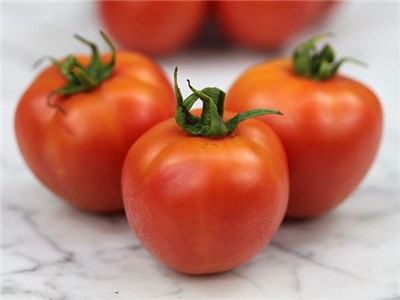 tomato riesentraube – Pépinière Jasmin
