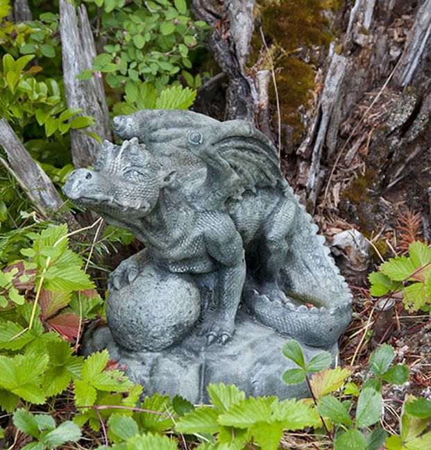 serendor dragon – Pépinière Jasmin