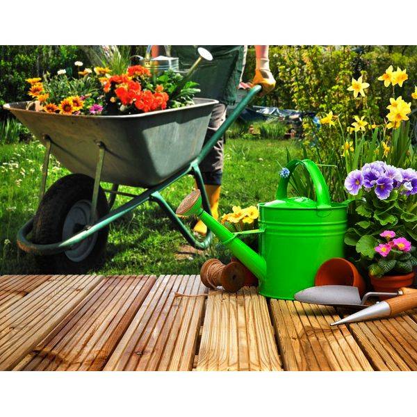 Catalogue – Pépinière Jasmin