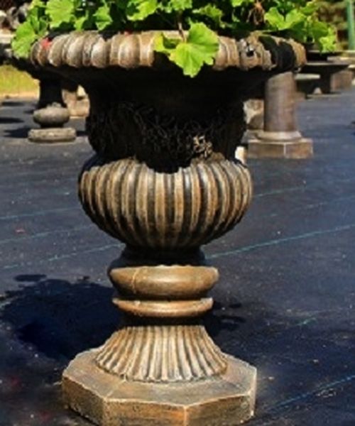 Pot Reine Royale – Pépinière Jasmin