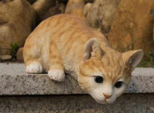 orange cat looking over the ledge – Pépinière Jasmin