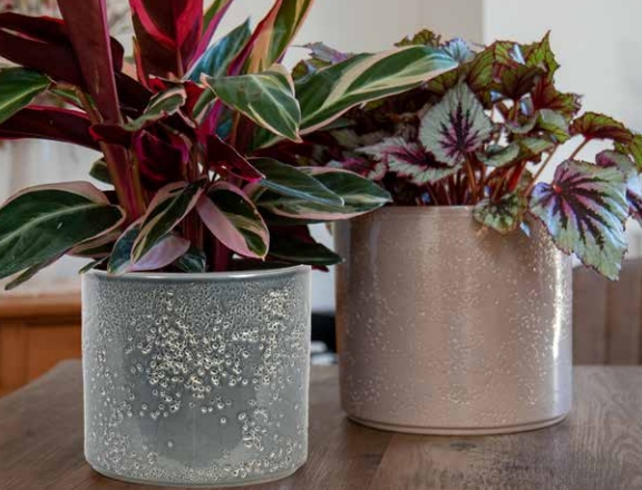 Pillar Lava pot Gray or cappuccino – Pépinière Jasmin