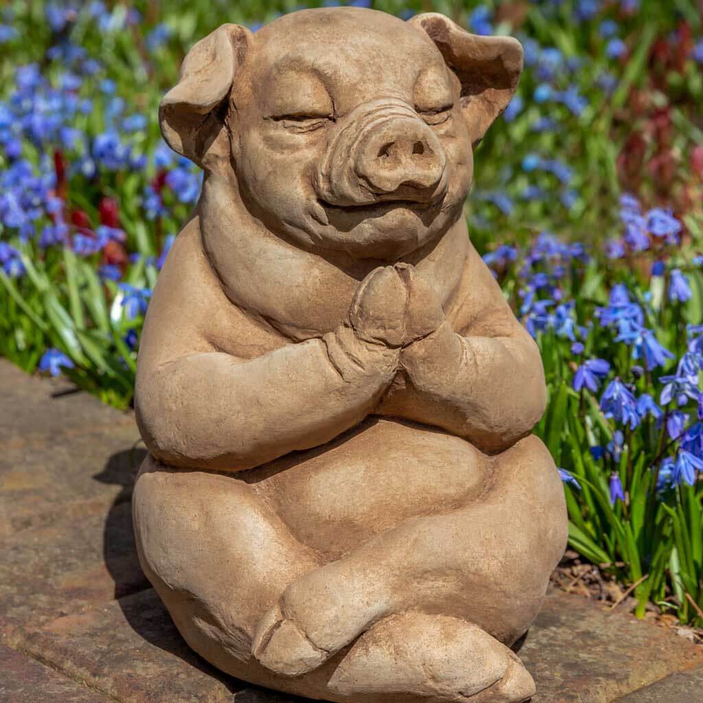 Zen Pig – Pépinière Jasmin
